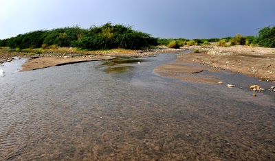 Baish at Baish Saudi Arabia, Jizan - Saudi Arabia