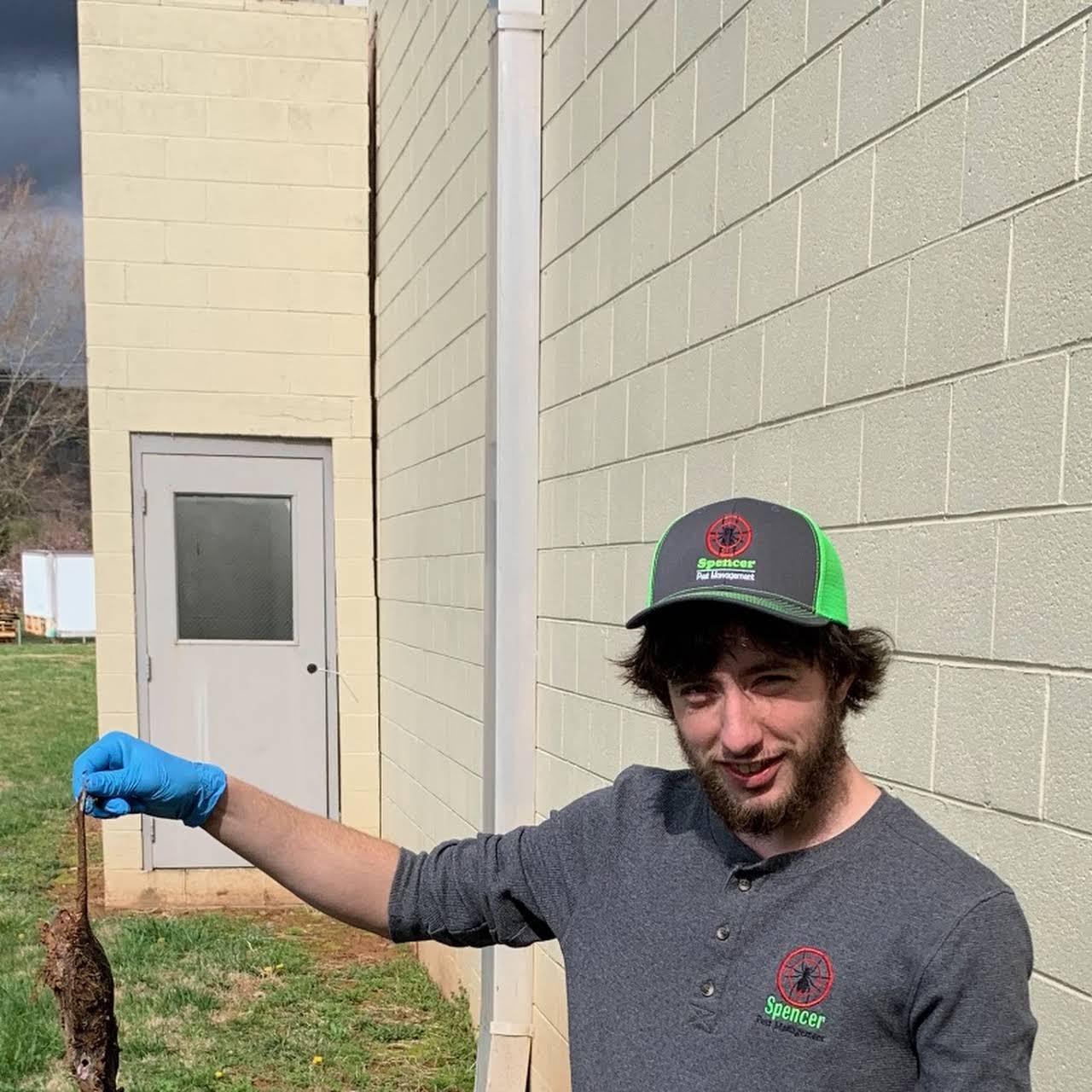 Spencer Pest Management - Pest Control Service in Mountain City