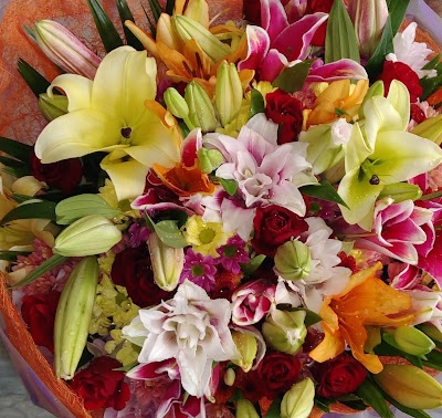 Lassana Flora, Florist, Western - Sri Lanka