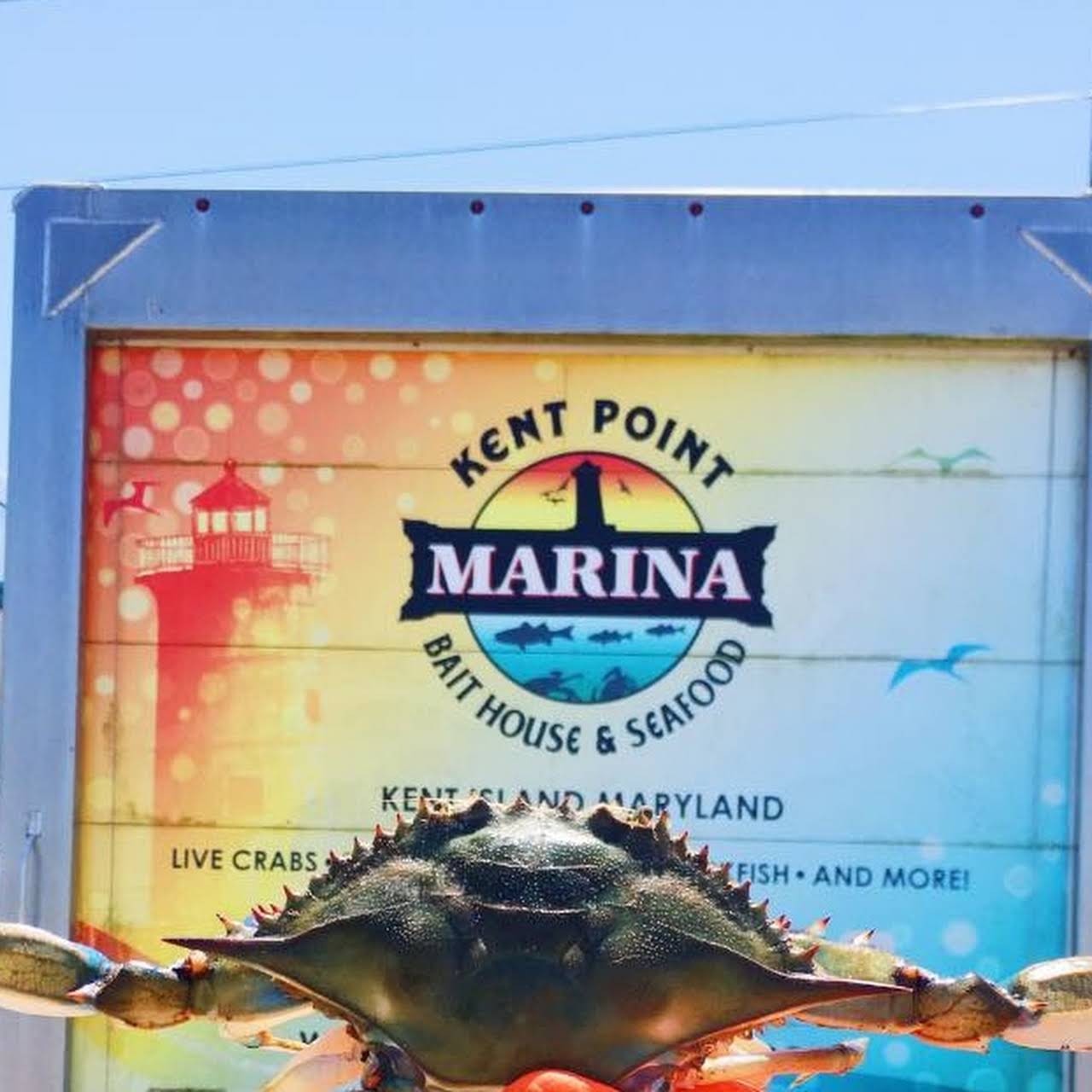 Kent Point Marina - Marina, Bait House, & Seafood! Located in ...