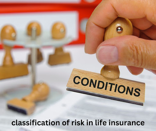 Life Insurance Risk Classification - Coach B. Insurance