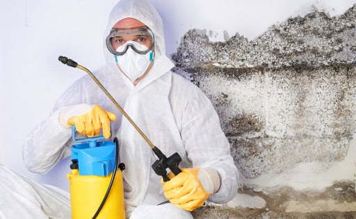 Mold Remediation Contractor near Me in Phoenix... - Arizona ...