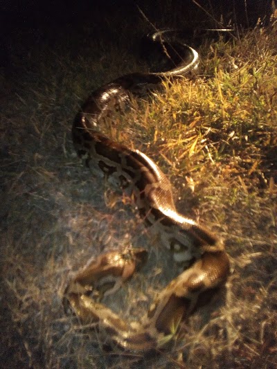 MAS Intimates, Vidiyal at Ariviyal Nagar, Sri Lanka