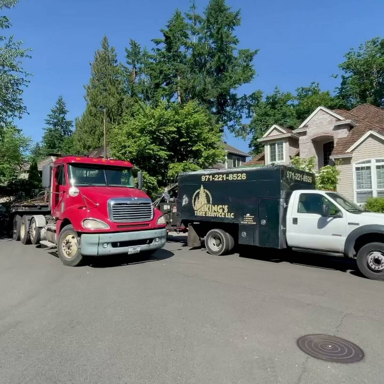 King's Tree Service, LLC - Tree Service in Portland, OR