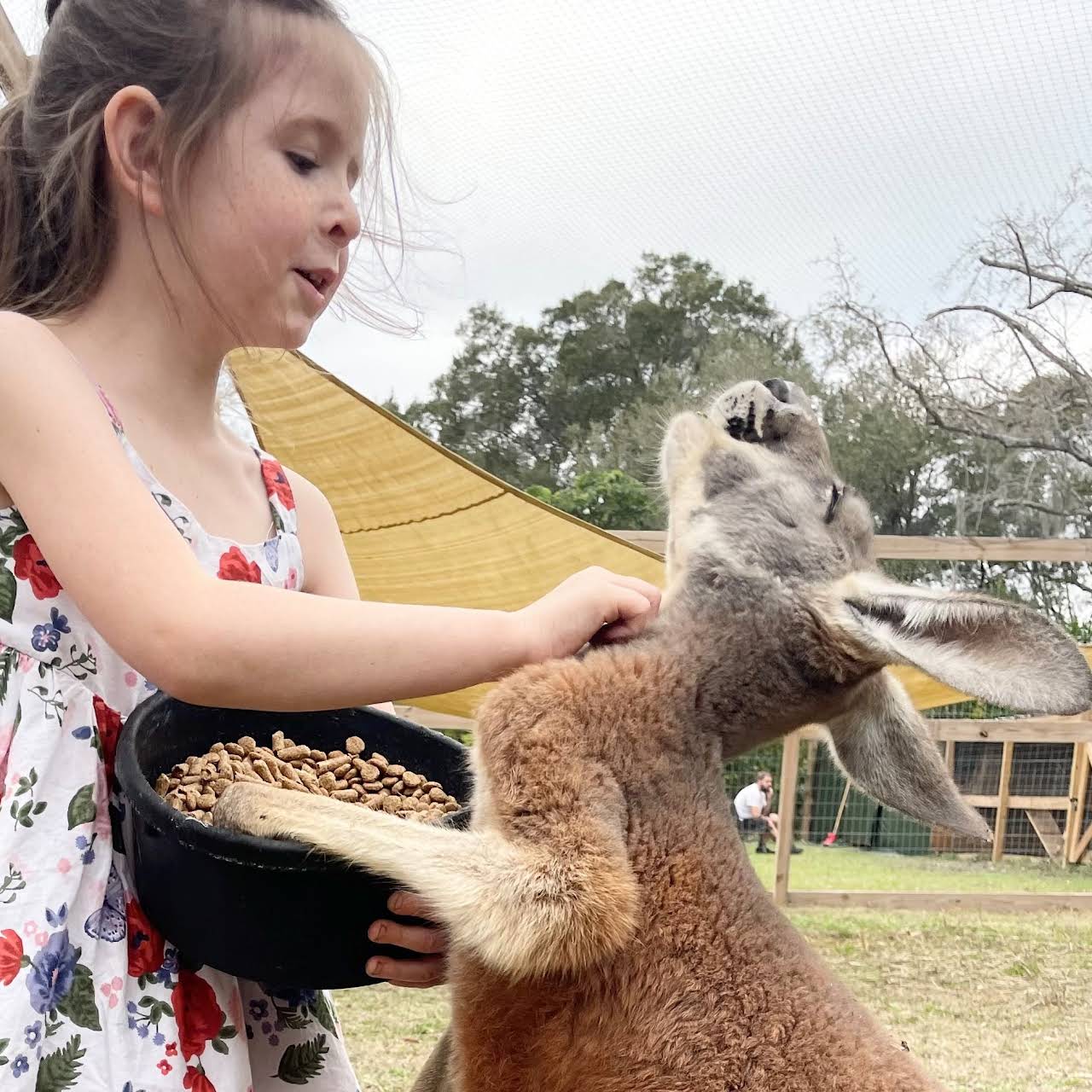 Moore Exotic Animal Ranch - Animal Group Tours, Private Tours, Field ...