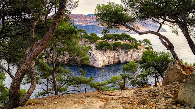 Mapstr - Calanque de Port Pin - Plage, Balade, Vue, Nature - Cassis