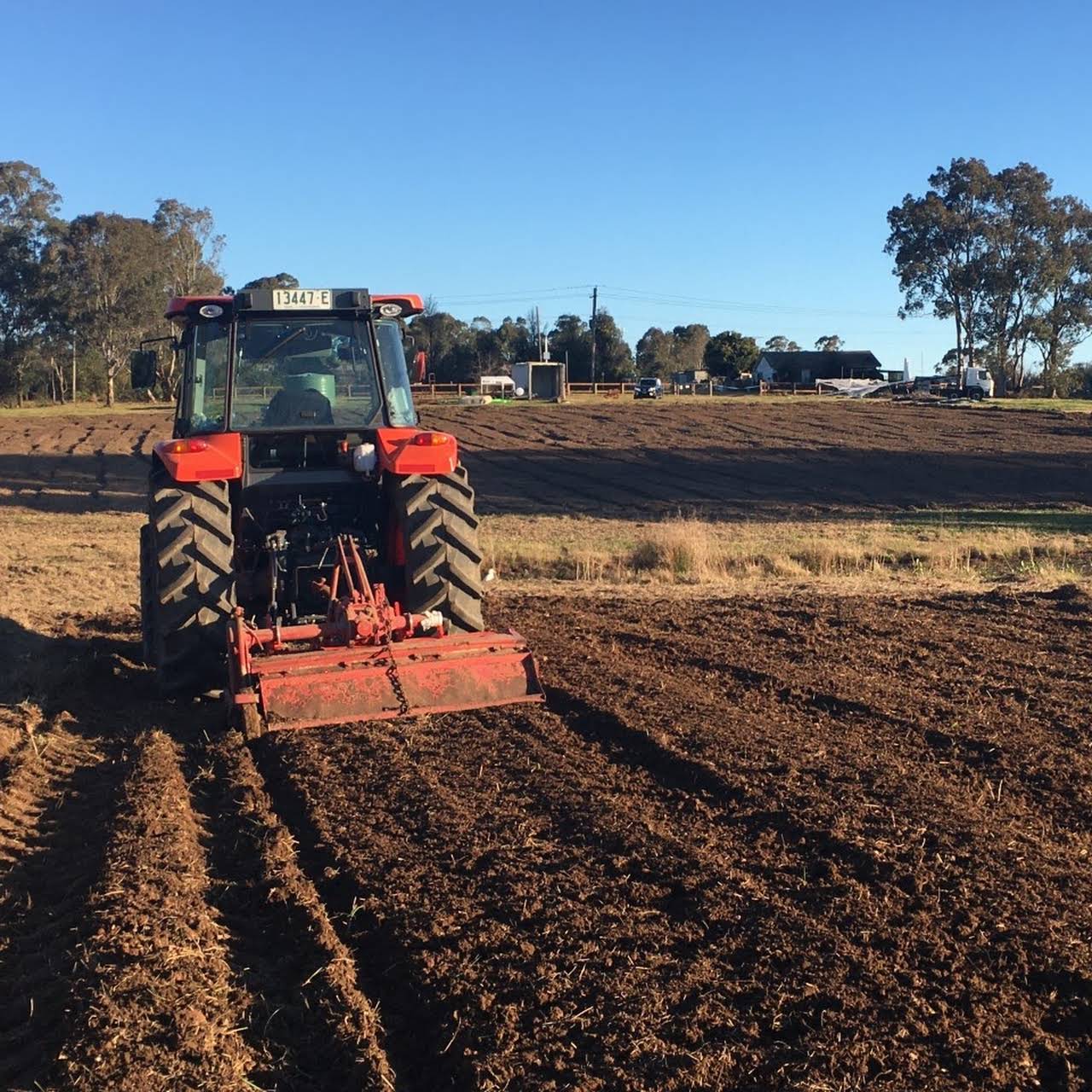 Slasher Grass Slashing | Service | Sydney - Specialised grass slashing ...