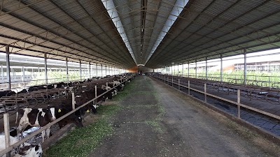 Yun Fook Resources Sdn Bhd (Bomboi), Keningau