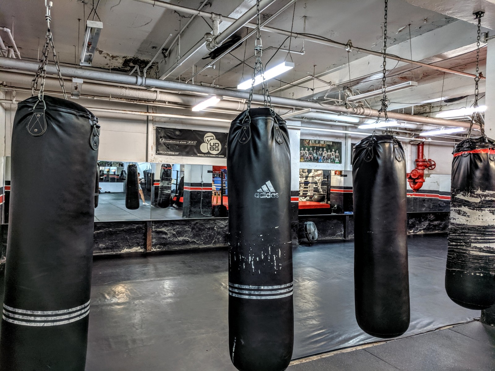 UNDERDOG BOXING GYM - 9 Rue Sainte-Catherine Est, Montreal - Canadian ...
