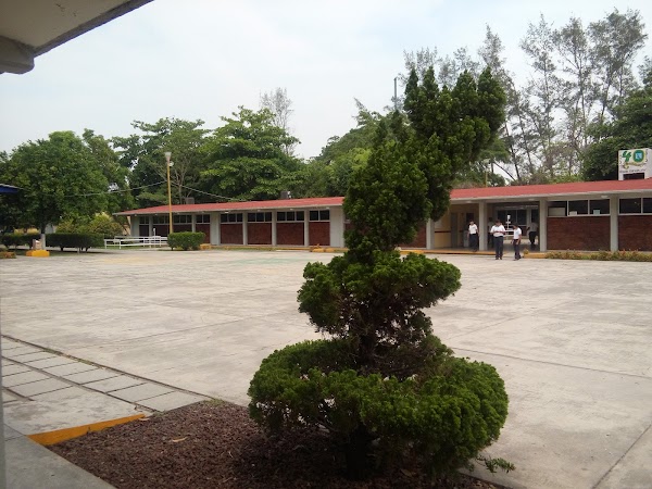 CBTA 17, Pipila 1828, El Ciruelo, 91662 Úrsulo Galván, Ver., México