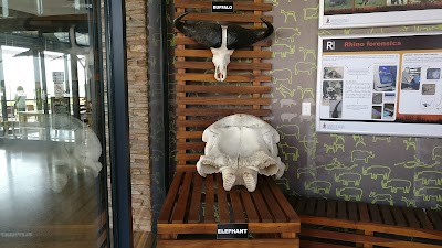 TotalEnergies Petroport N4 Alzu, Gas Station at Nkangala