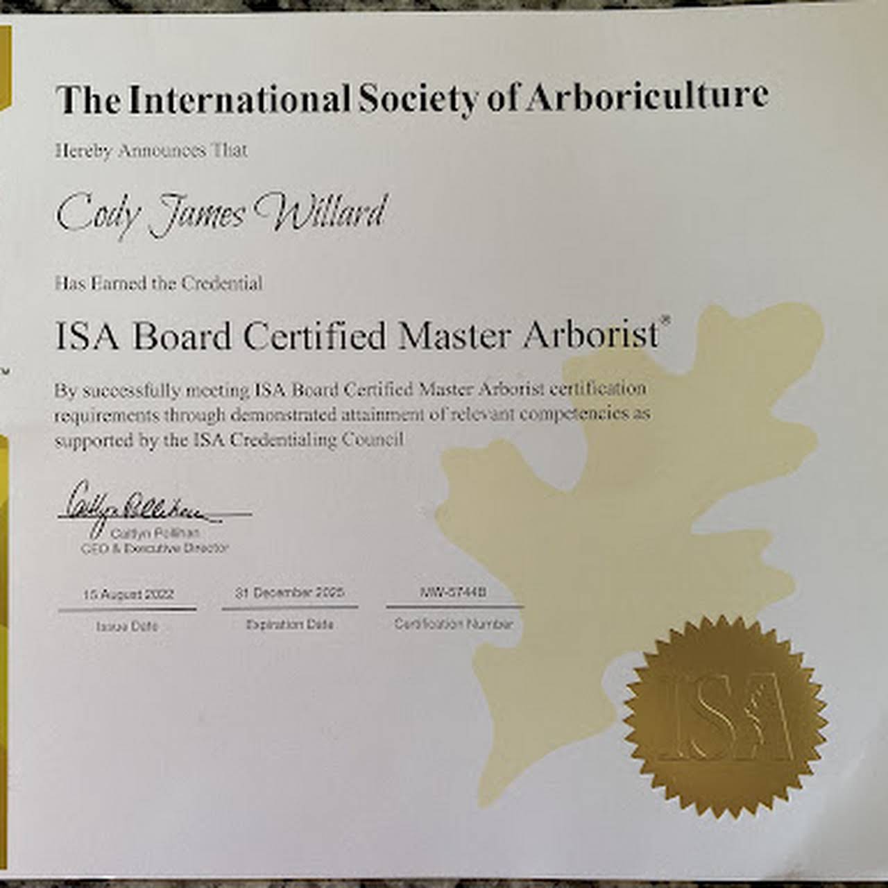 Tree Love, LLC - ISA Board Certified Master Arborist (MW-5744B)