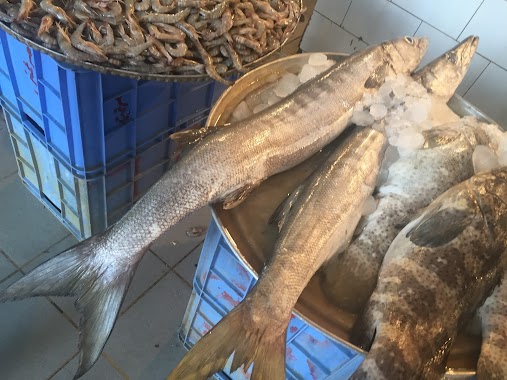 🕗 Qatif Fish Market Al Qatif opening times, 2990, بدر, contacts
