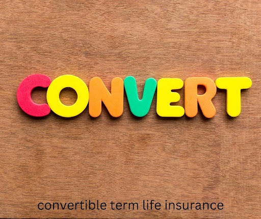 Convertible Term Life Insurance Benefits