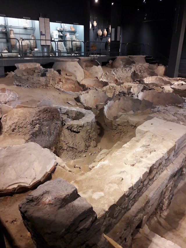 Mapstr - Museum Musée des Docks Romains Marseille - Musée, Visites ...