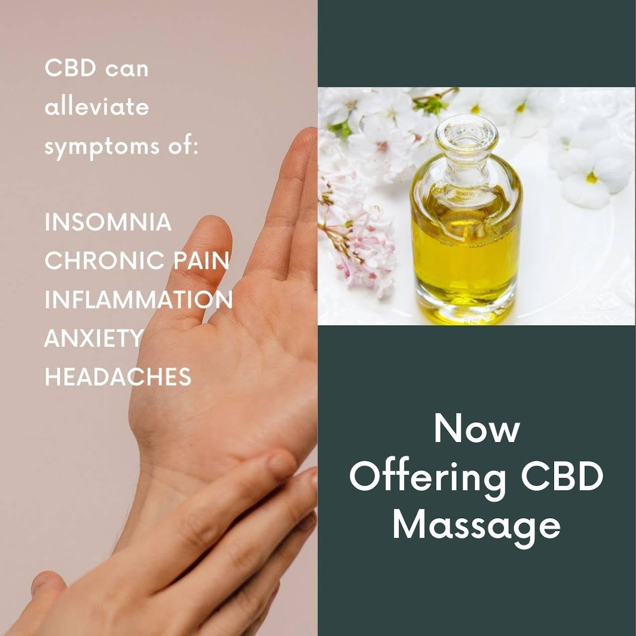 Qi Tree Wellness - Massage Therapist in Waunakee