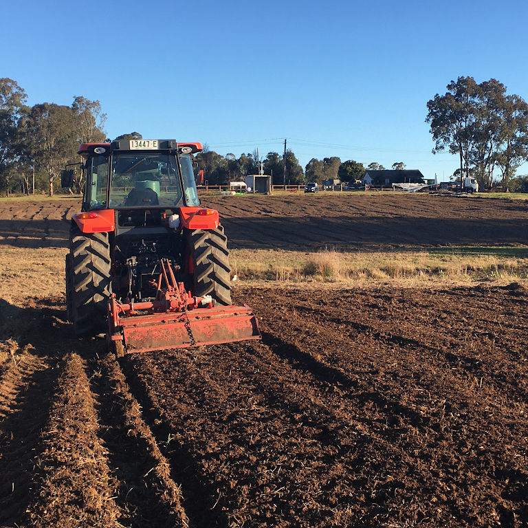 Slasher Grass Slashing | Service | Sydney - Specialised grass slashing ...