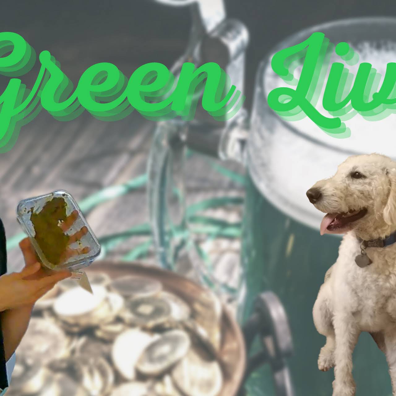 DoItWithDaisy - Food and Lifestyle Guru for Your Dog