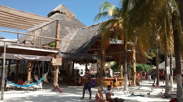 Mapstr - Restaurant Buhos Beach Bar & Restaurant Isla Mujeres ...