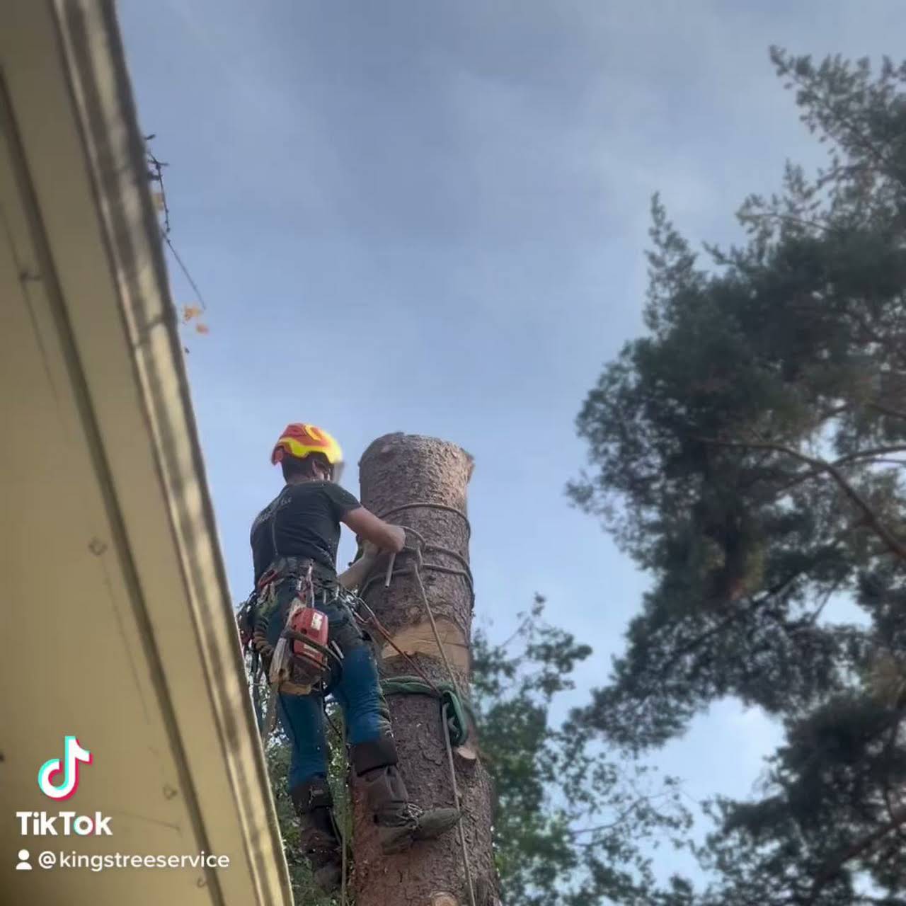 King's Tree Service, LLC - Located in Portland, OR. We primarily ...