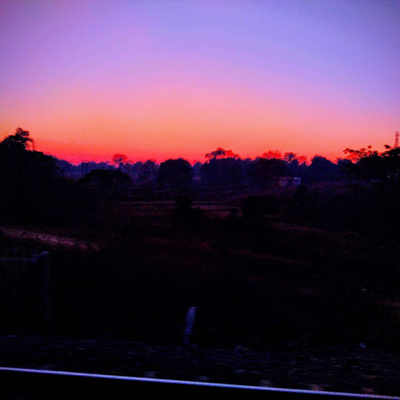 Nature's Snapshots - Passion for Natures and WildLife Photography