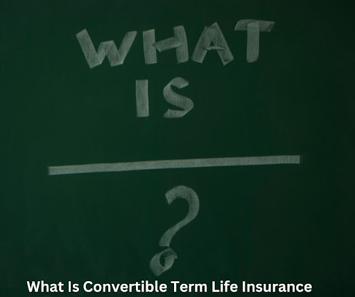 Convertible Term Life Insurance Benefits