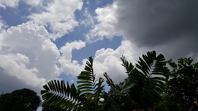 Sam Fah Enterprise (M) Sdn. Bhd, Store at Kuching