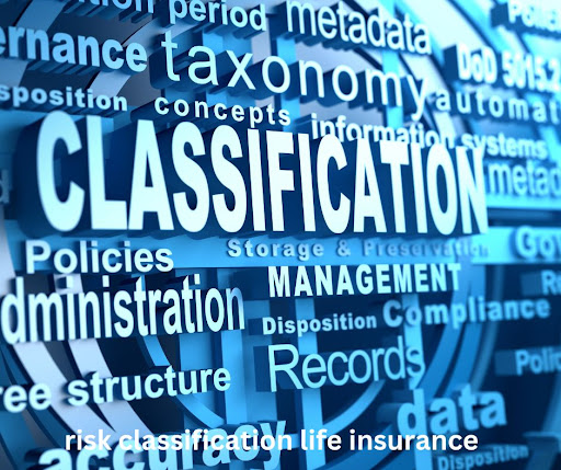Life Insurance Risk Classification - Coach B. Insurance