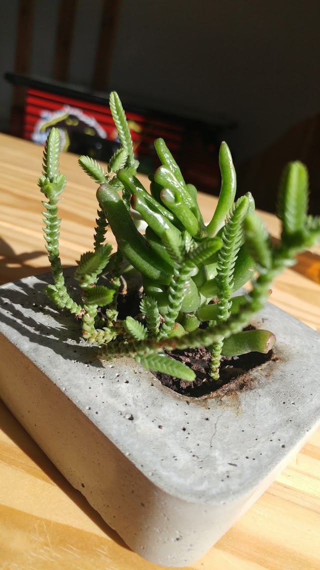 Mapstr - Three Stacks and a Rock Brewing Company Morro Bay