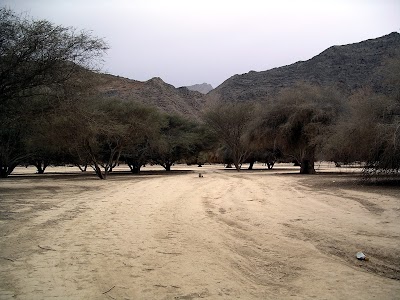 Fujairah Beach Camping, Campground at North