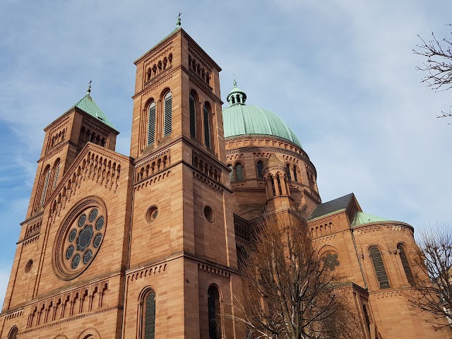 Mapstr - Worship Église catholique Saint-Pierre-le-Jeune Strasbourg ...