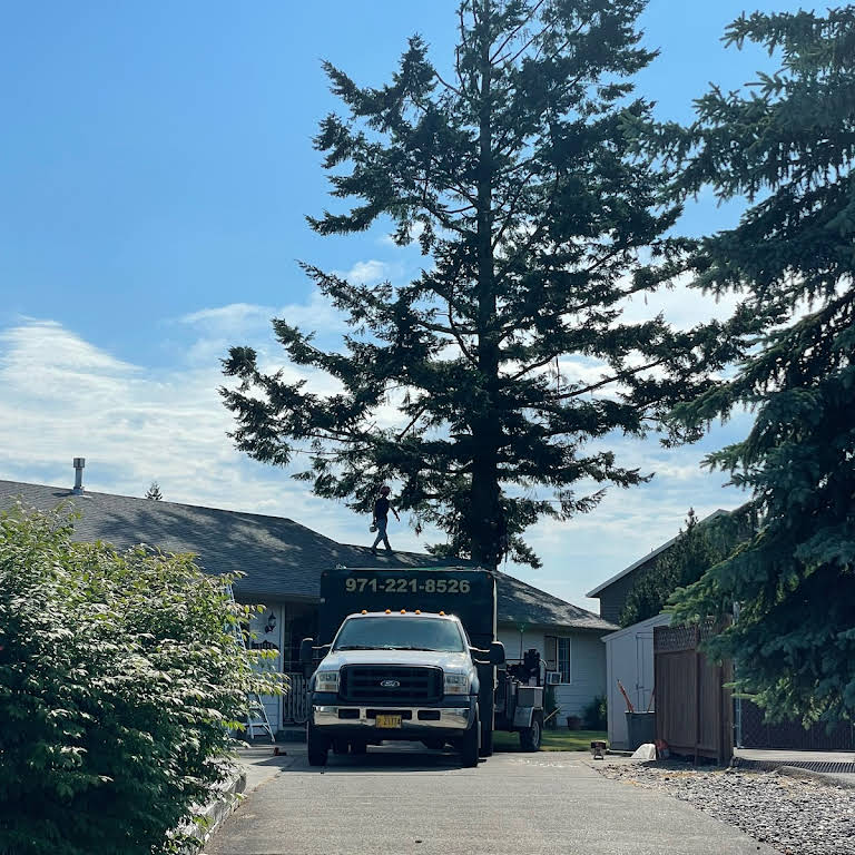 King's Tree Service, LLC - Tree Service in Portland, OR