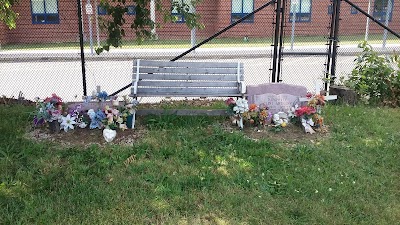 Cedar Grove Cemetery, Camden County: Location, Map, About & More