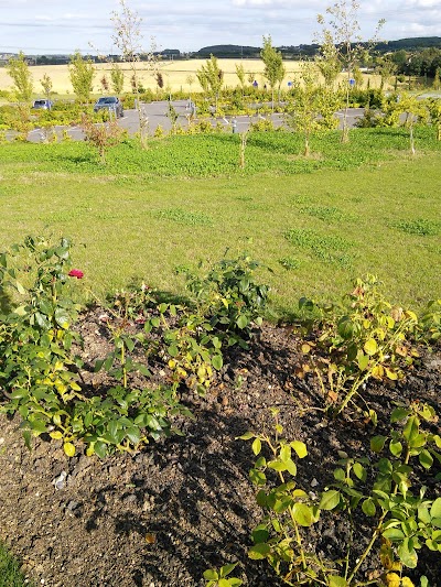 Thames View Crematorium and Cemetery (Cremation service) - Gravesend