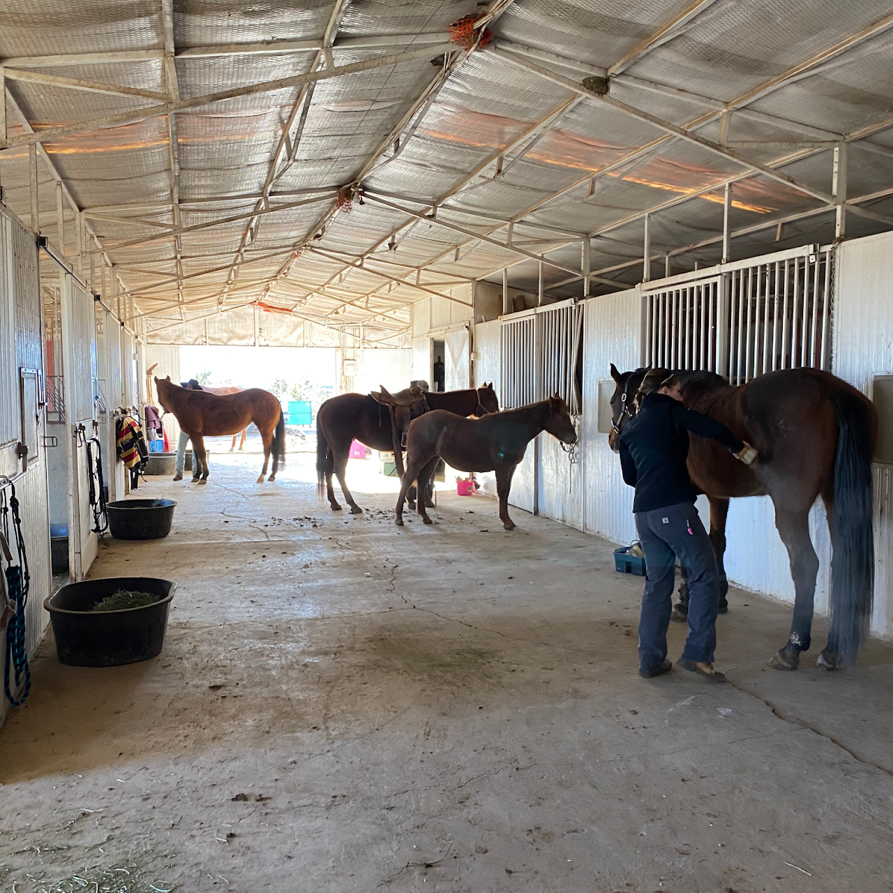 Stable Foundations LLC - Horse Boarding Stable in Wellington