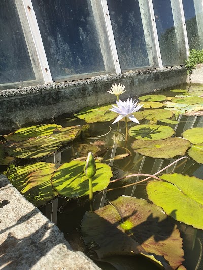 Ledora Water Gardens , New South Wales, Australia-XxMaps.com