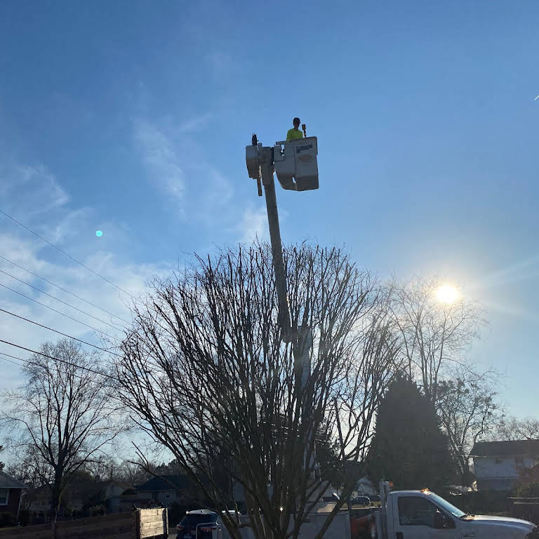 The Tree Guys Corporation - Tree Service in Hampton