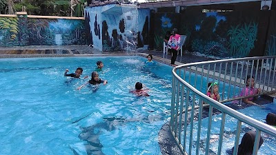 Zamita Resort, Sabak Bernam, Selangor., Selangor (+60 13-222 2131)