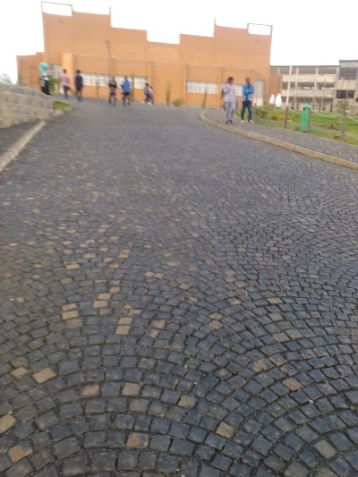 Debre Tabor University, University at Farta, Debub Gondar