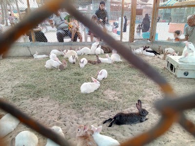 AlHomaid Zoo, Zoo at Dhahran Jubail Expy, Saihat 32462