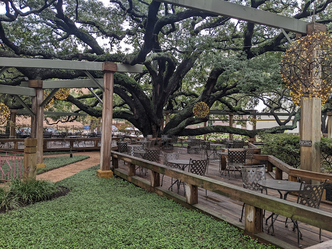 Houston’s Hidden Gem: Becks Prime and Its Majestic Live Oaks - Houston ...