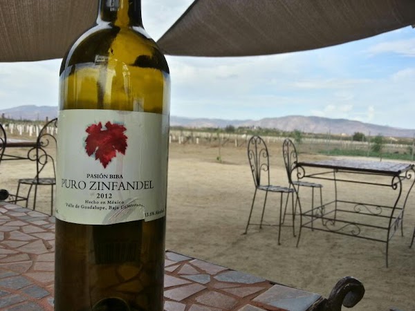 Vinos PasionBiba, Dom. Conocido Rancho Toros Pintos S/N, Valle de ...