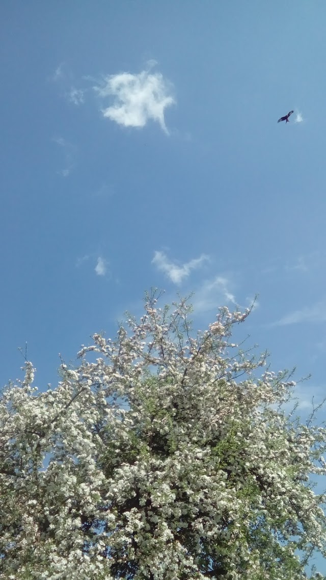 Mapstr - Geocode Levier - Villes & villages, Levier, Ville ...