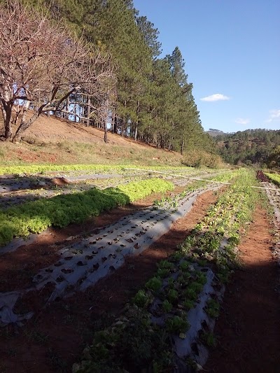Pilones y Flores de Honduras, Store at Valle de Ángeles