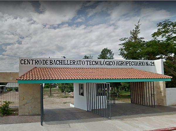 Cbta 24, Cintalapa — dirección, teléfono, críticas