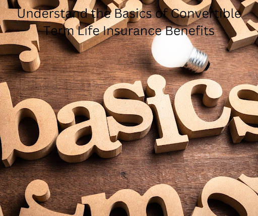Convertible Term Life Insurance Benefits