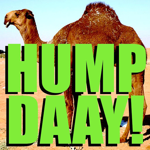 Geico Camel Hump Day! Alert Tone - YouTube Music