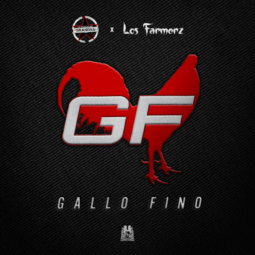Gallo Fino - YouTube Music