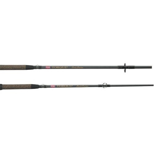 Review Best Fishing Rods: Fishing Rod Reviews: Penn Torque 10-Feet Surf ...