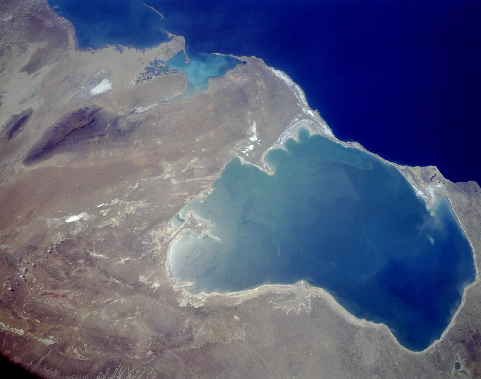 As the caspian sea is landlocked it is home to various unique species ...